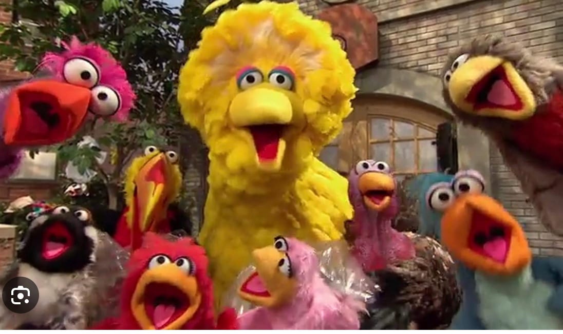 SESAME STREET TAUGHT US “COOPERATION MAKES IT HAPPEN” - Jill McBeth